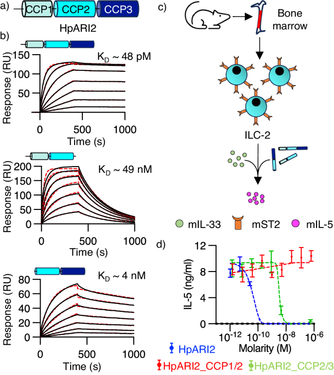 Structural basis for IL-33 recognition and its antagonism by the helminth effector protein ...