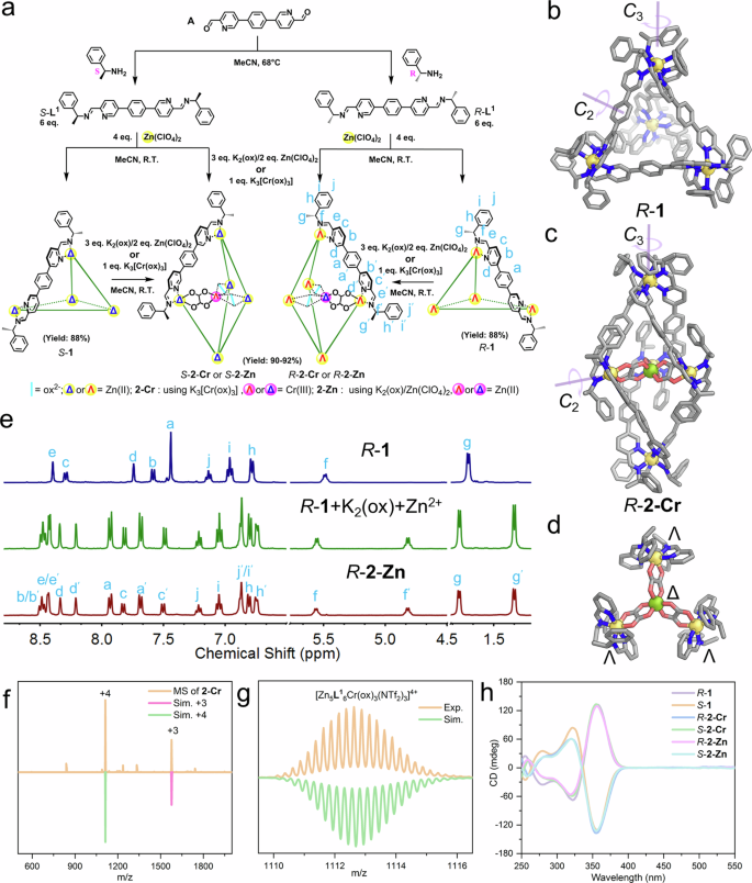 Enantiopure trigonal bipyramidal coordination cages templated by in situ self-organized D2h ...