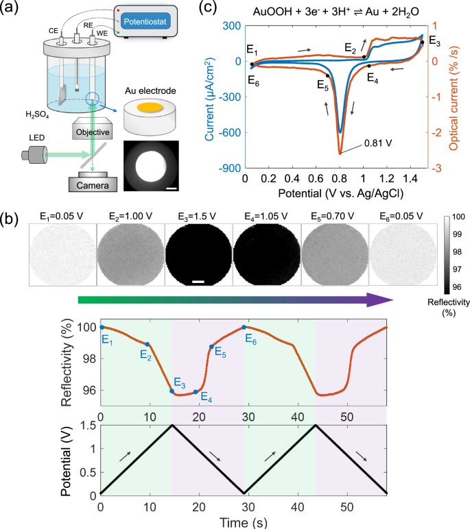 Radially distributed charging time constants at an electrode-solution ...