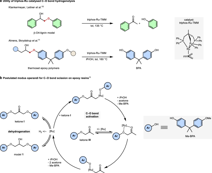 Unveiling the mechanism of triphos-Ru catalysed C–O bond disconnections ...