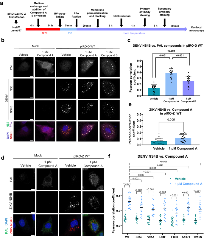 Pan-serotype dengue virus inhibitor JNJ-A07 targets NS4A-2K-NS4B interaction with NS2B/NS3 and ...