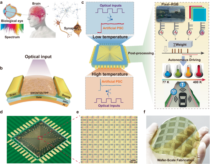 Ultra-low power carbon nanotube/porphyrin synaptic arrays for persistent photoconductivity and ...