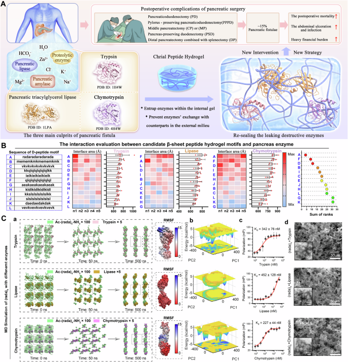 Sealing the Pandora’s vase of pancreatic fistula through entrapping the ...