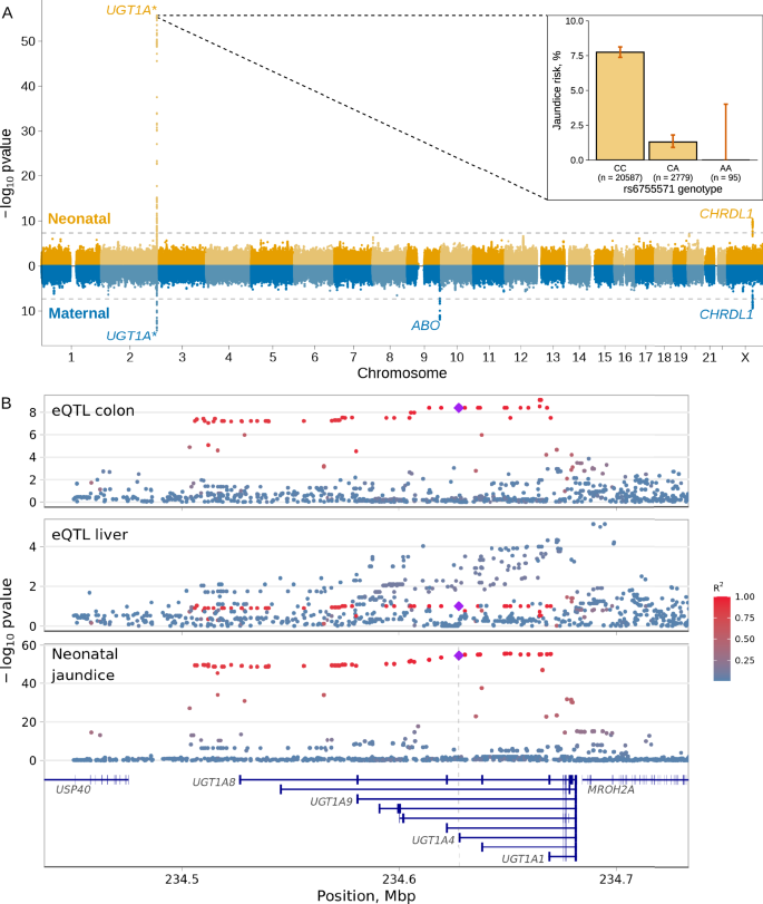 Genome-wide analyses of neonatal jaundice reveal a marked departure ...
