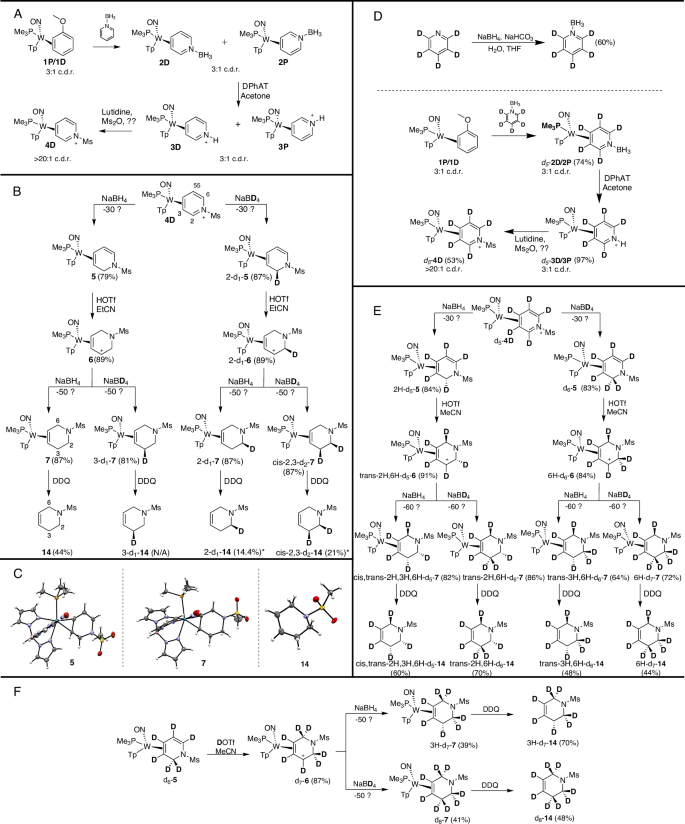 Designing chemical systems for precision deuteration of medicinal ...