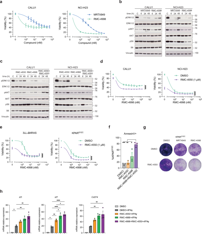 Combining RAS(ON) G12C-selective inhibitor with SHP2 inhibition ...