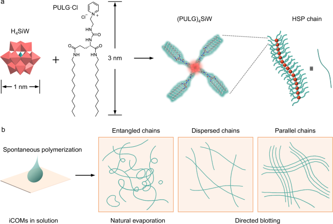 Stereospecific supramolecular polymerization of nanoclusters into ultra ...