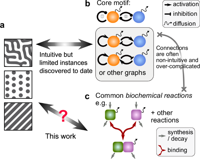 Widespread biochemical reaction networks enable Turing patterns without imposed feedback ...