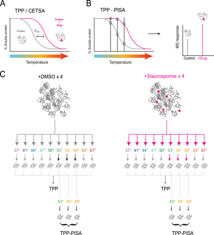 Streamlined analysis of drug targets by proteome integral solubility ...