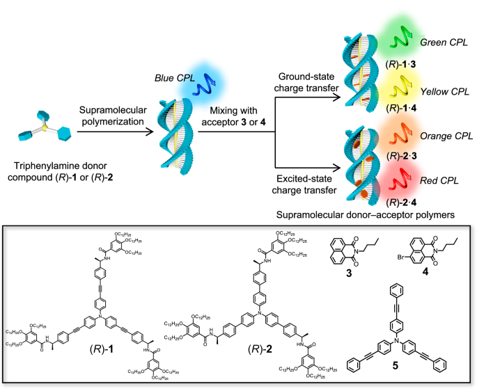 Wide-range tunable circularly polarized luminescence in triphenylamine supramolecular polymers ...