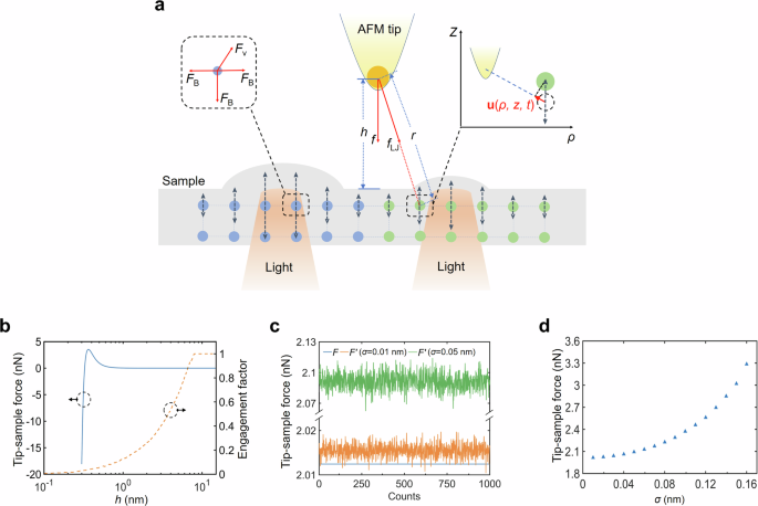 Light-modulated van der Waals force microscopy | Nature Communications