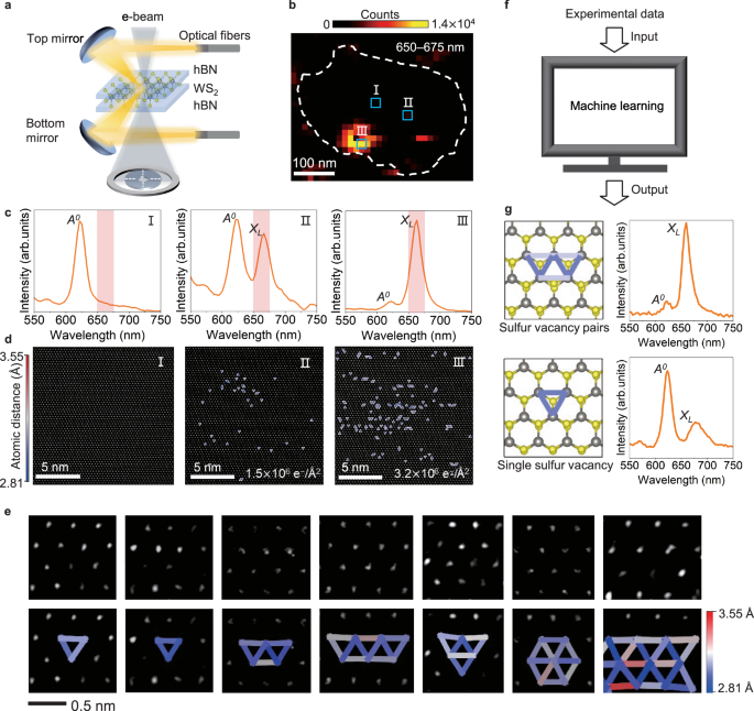 Unveiling sulfur vacancy pairs as bright and stable color centers in ...