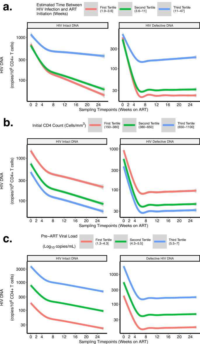 Rapid biphasic decay of intact and defective HIV DNA reservoir during ...