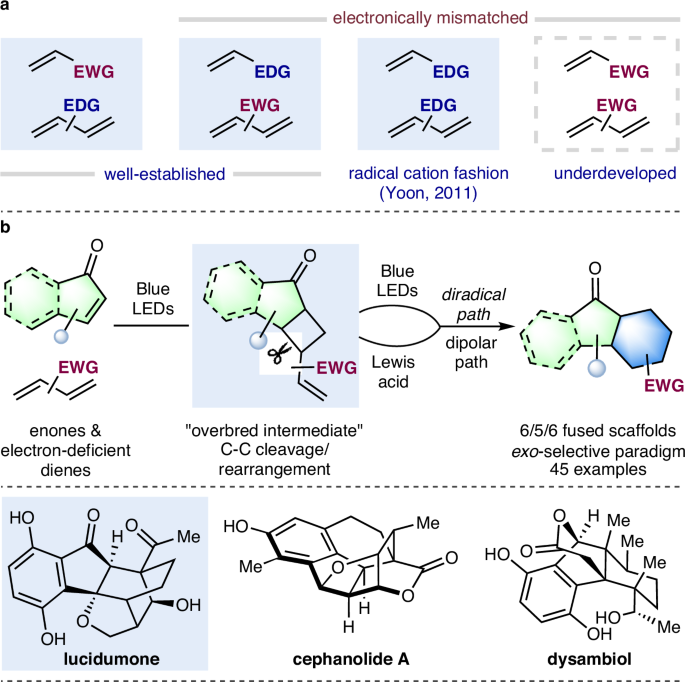Photoinduced formal [4 + 2] cycloaddition of two electron-deficient ...
