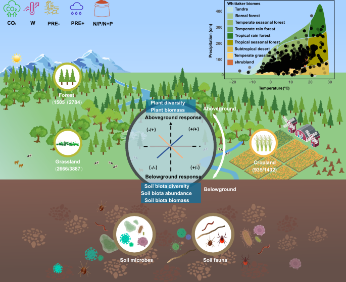 Decoupled responses of plants and soil biota to global change across ...