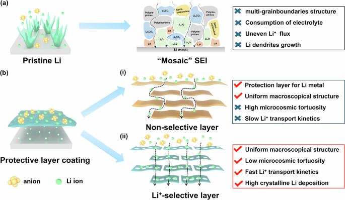 Macroscopically uniform interface layer with Li+ conductive channels ...