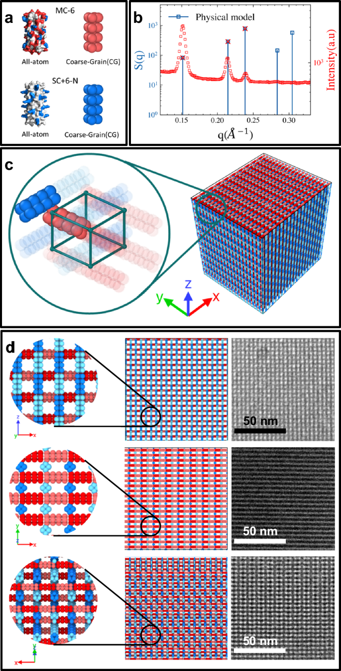 Ordered assemblies of peptide nanoparticles with only positive charge ...