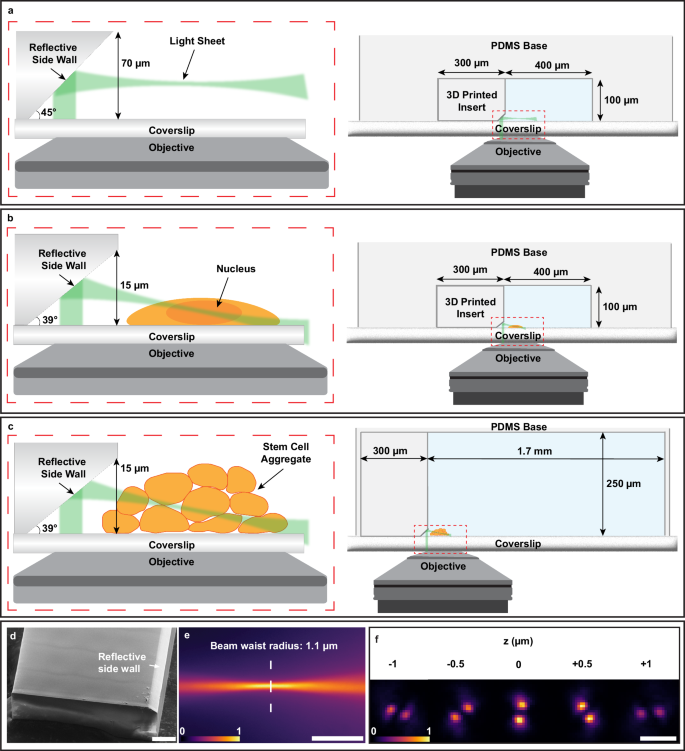 Whole-cell multi-target single-molecule super-resolution imaging in 3D ...