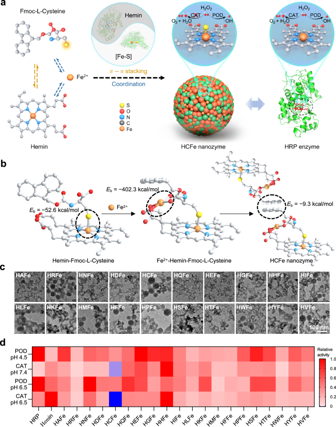 A bioinspired sulfur–Fe–heme nanozyme with selective peroxidase-like ...