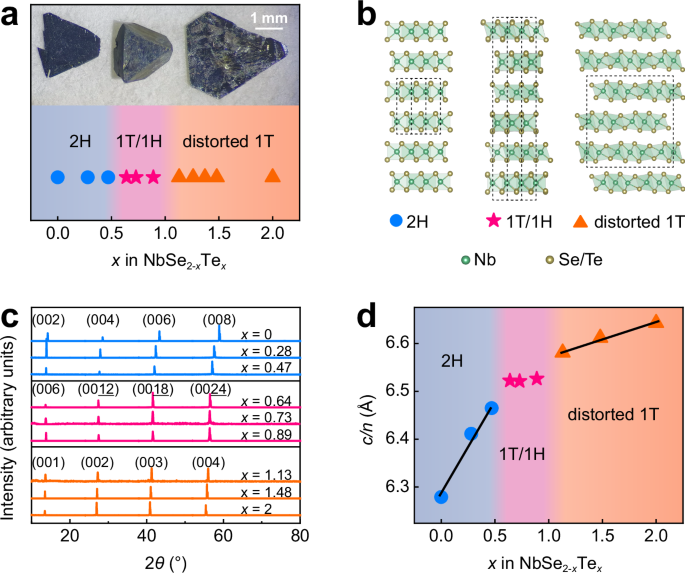 Self-assembly of 1T/1H superlattices in transition metal ...