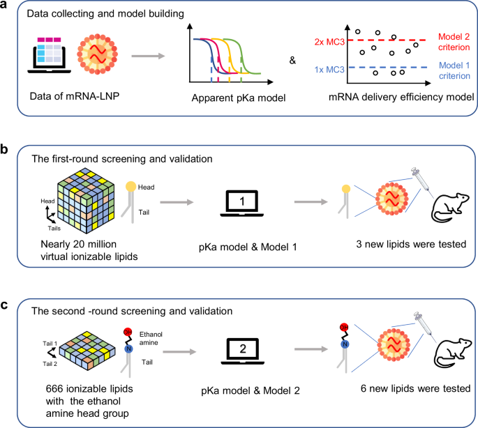 Artificial intelligence-driven rational design of ionizable lipids for ...