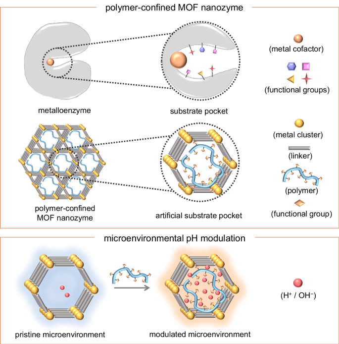 Microenvironmental modulation breaks intrinsic pH limitations of ...