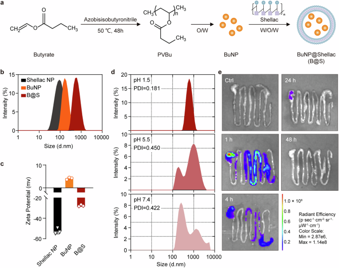 Colon-targeted engineered postbiotics nanoparticles alleviate ...