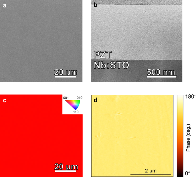 Compositionally-graded ferroelectric thin films by solution epitaxy ...