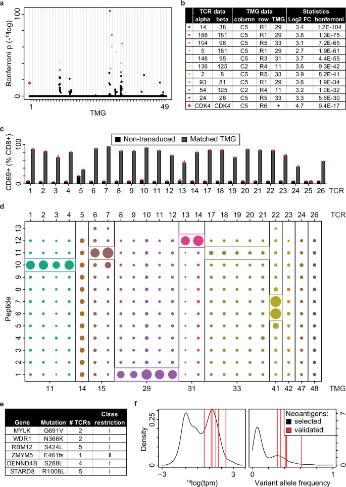 Enabling next-generation engineered TCR-T therapies based on high ...