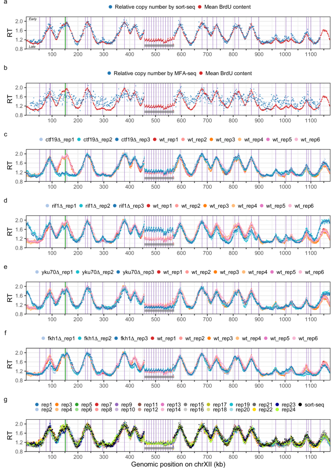 Telomere-to-telomere DNA replication timing profiling using single ...