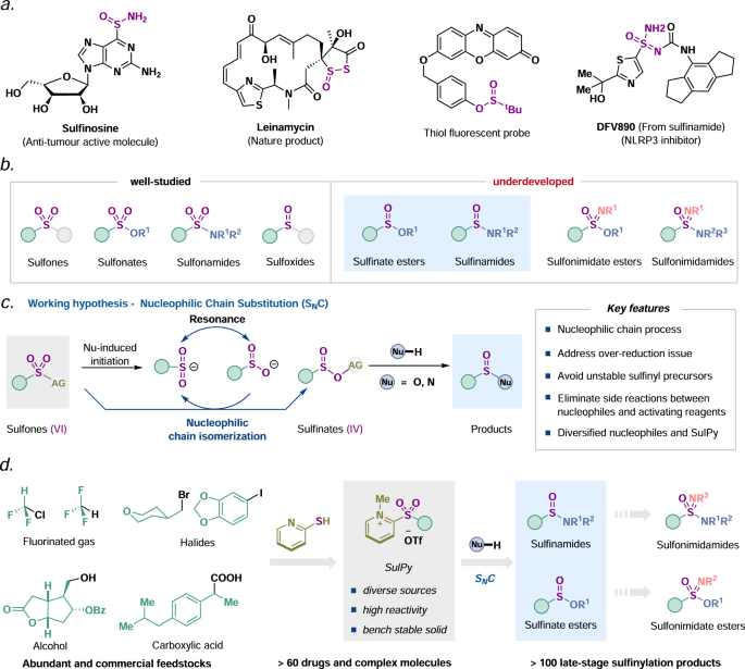 Reductive sulfinylation by nucleophilic chain isomerization of ...