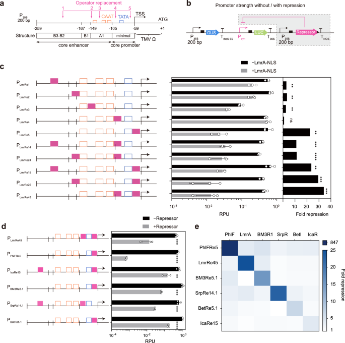 Predictive genetic circuit design for phenotype reprogramming in plants ...