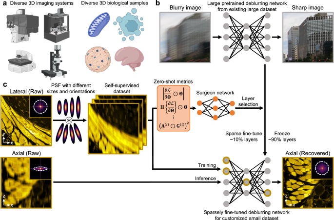 System- and sample-agnostic isotropic three-dimensional microscopy by ...