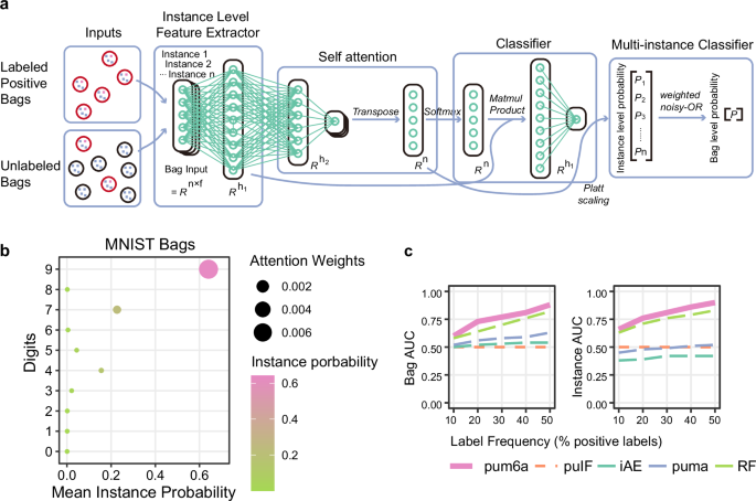 Decoding the m6A epitranscriptomic landscape for biotechnological applications using a direct ...