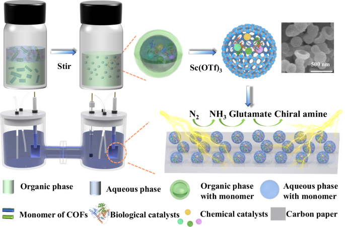 COFcap2, a recyclable tandem catalysis reactor for nitrogen fixation ...