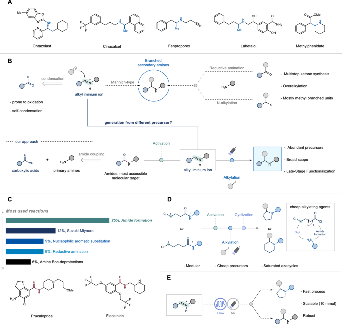 Deoxygenative photochemical alkylation of secondary amides enables a ...