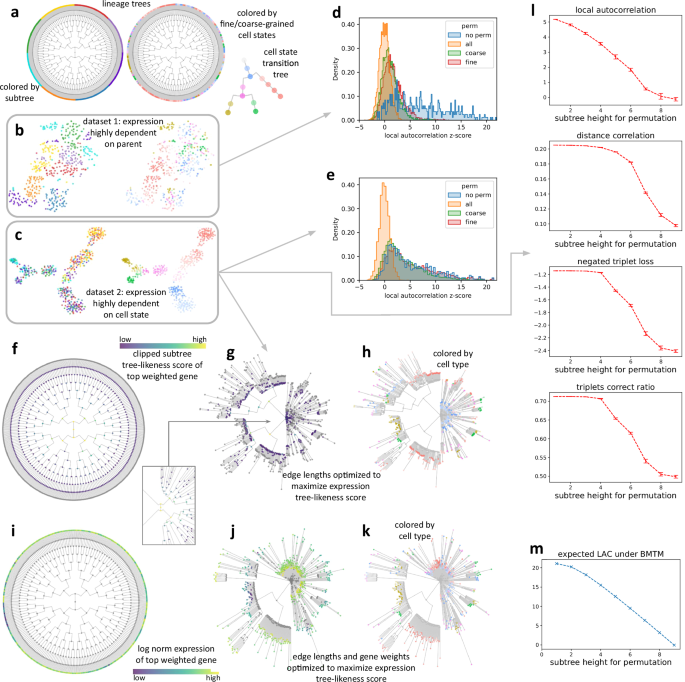 Integrating representation learning, permutation, and optimization to ...