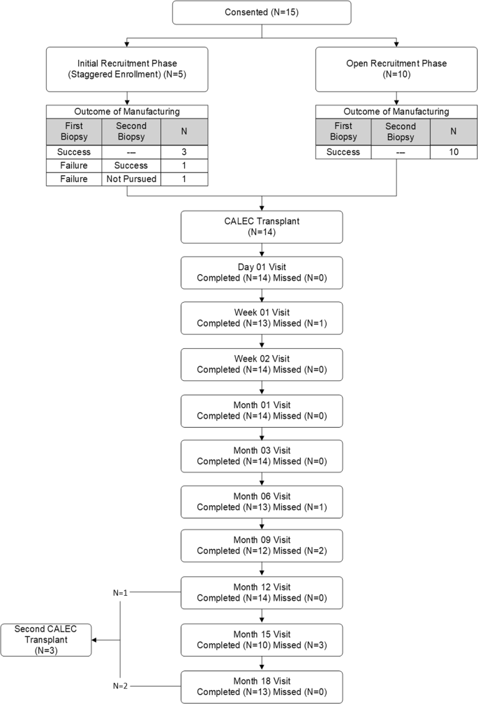 Cultivated autologous limbal epithelial cell (CALEC) transplantation ...