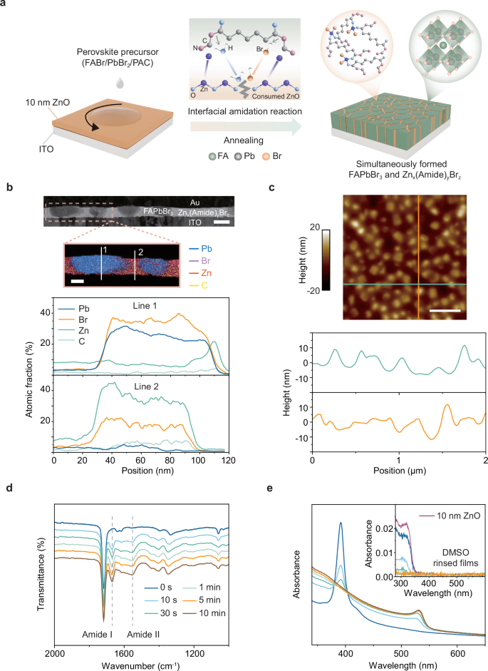 Ultralow trap density FAPbBr3 perovskite films for efficient light-emitting diodes and amplified ...