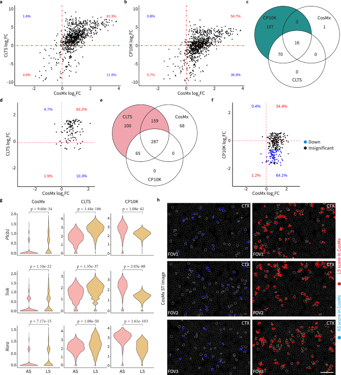 Transcriptome size matters for single-cell RNA-seq normalization and ...