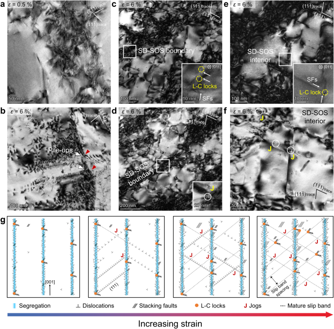 Segregation-dislocation self-organized structures ductilize a work ...