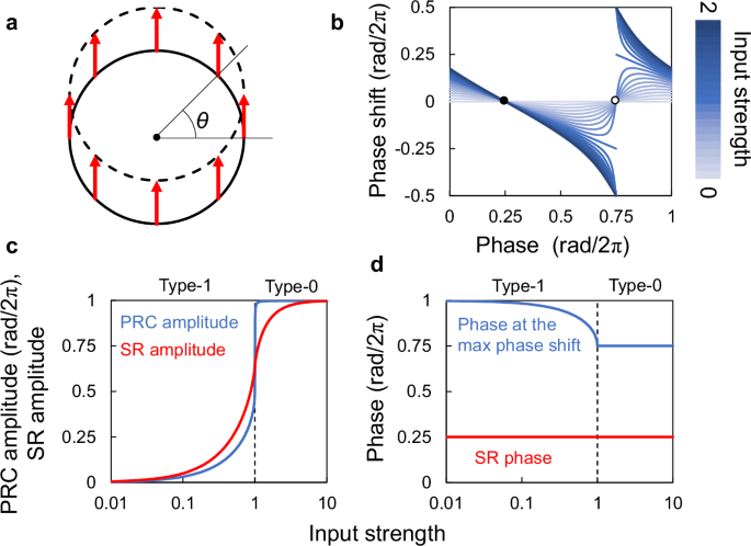 Parameterized resetting model captures dose-dependent entrainment of ...