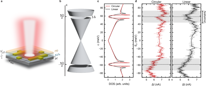 Signatures of Floquet electronic steady states in graphene under ...