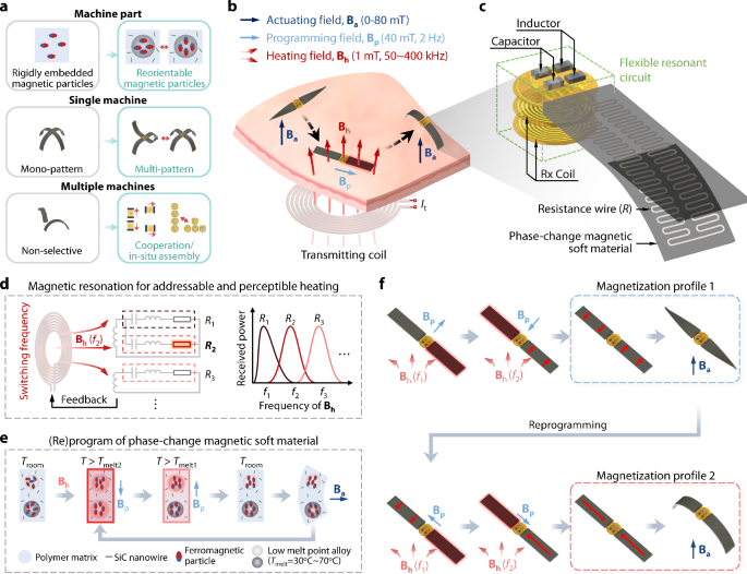 Addressable and perceptible dynamic reprogram of ferromagnetic soft ...