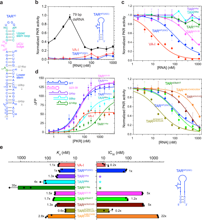 Structures of complete HIV-1 TAR RNA portray a dynamic platform poised ...