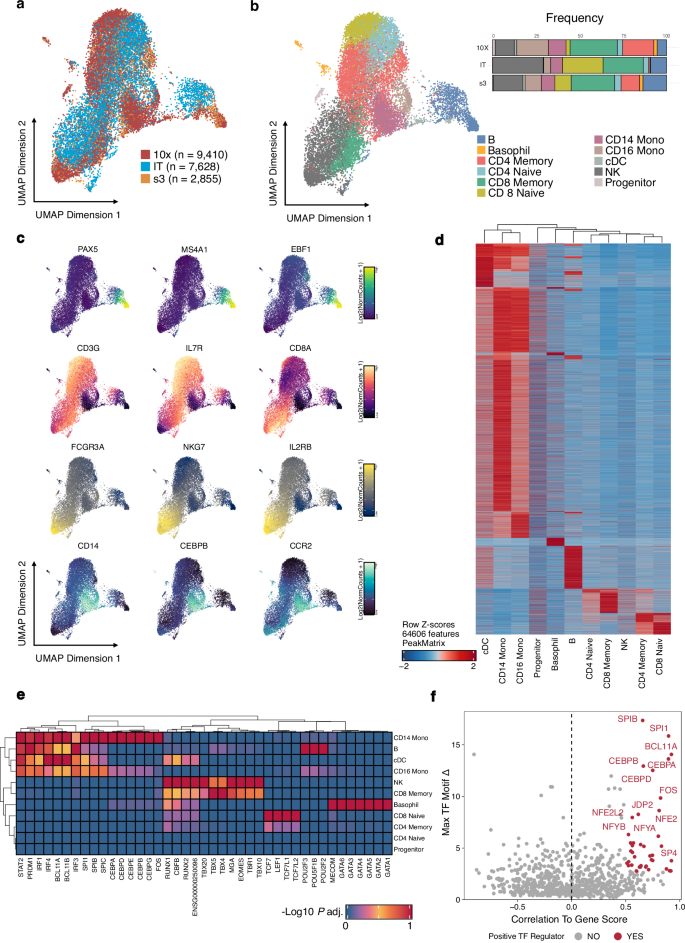 Semi-automated IT-scATAC-seq profiles cell-specific chromatin ...