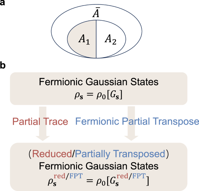 Entanglement Rényi negativity of interacting fermions from quantum Monte Carlo simulations ...