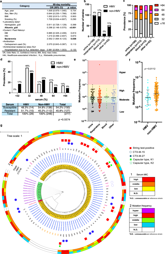 Rapid and Integrated Bacterial Evolution Analysis unveils gene ...