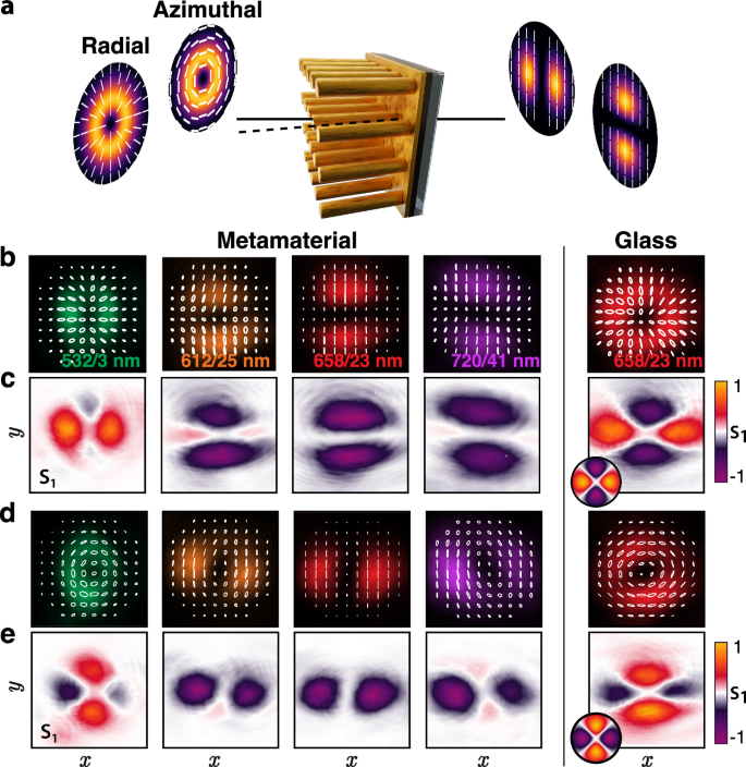 Longitudinal field controls vector vortex beams in anisotropic epsilon ...