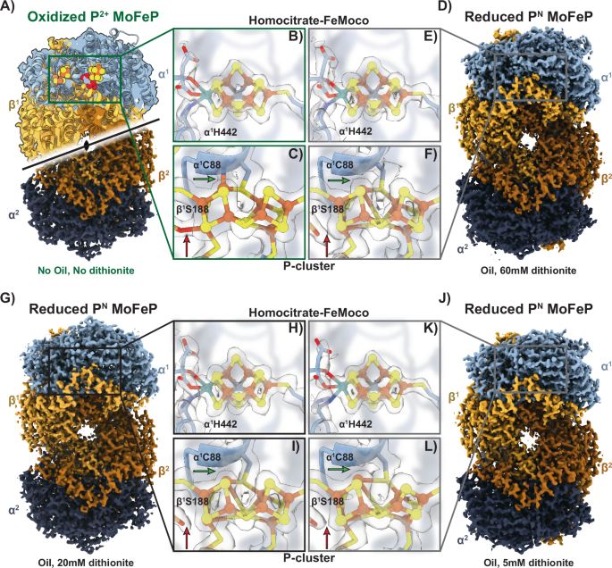 Preparation of oxygen-sensitive proteins for high-resolution cryoEM ...
